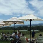 Yering Winery, LV Chandon Winery, Puffing Billy Steam Train - Who Should Consider This Tour?