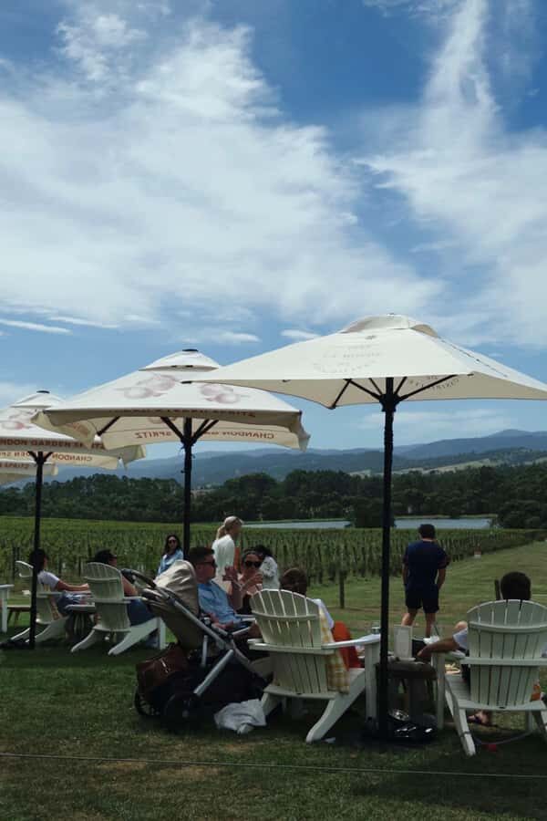 Yering Winery, LV Chandon Winery, Puffing Billy Steam Train - Who Should Consider This Tour?