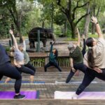 Zen In The Zoo - A Detailed Look at the Experience