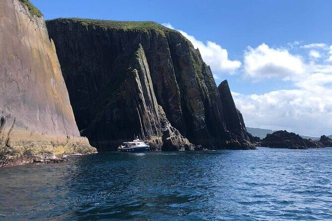 1 hour Dingle Bay Cliff Tour - Final Thoughts