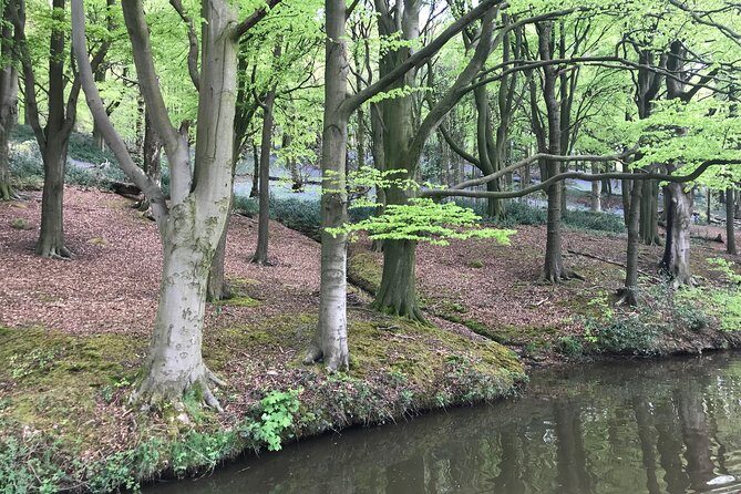 1-Hour Public Cruise - What Travelers Are Saying: Authentic Insights