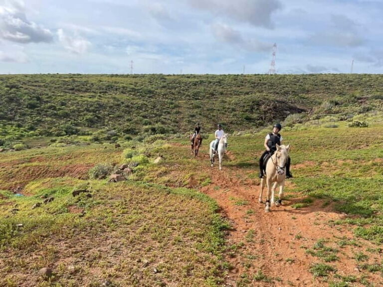 1 hour relaxing horse riding tour in Gran Canaria - What the Tour Looks Like