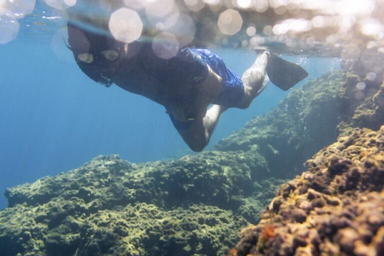 1-Hour Snorkeling Tour in Paraggi Bay, Portofino - The Practicalities and Value