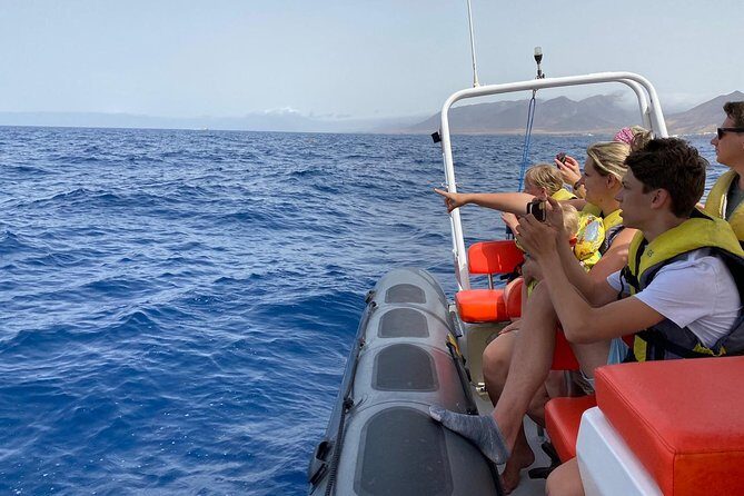 2h Dolphin and Whale Viewing + Snorkeling Tour - Practical Details and Tips