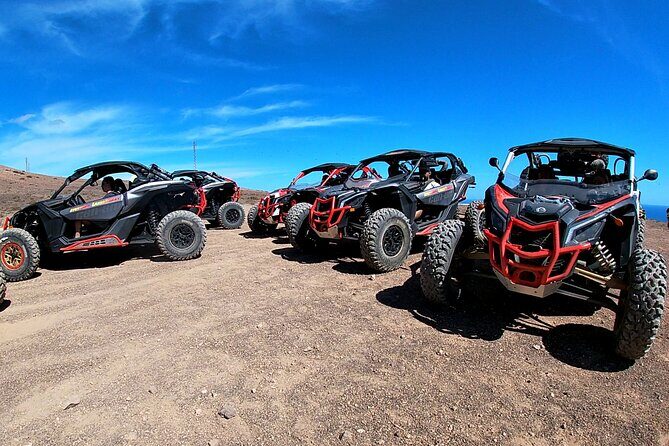 3 Hour Guided Buggy Tour Around the Island of Lanzarote - Who Is This Tour Best For?