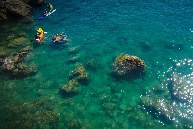 3 Hour of Sea Kayak Trip in the Creeks of Sete - Who Should Book This Tour?