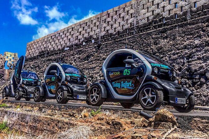 4 Hours Eco Safari Tour with Electric Car in Tenerife - Practical Details and Value