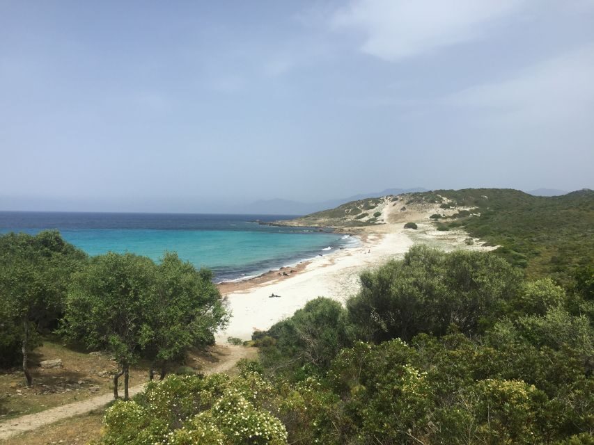 4x4 Agriates Desert and Beach Excursion from Calvi - Authentic Insights from Reviews