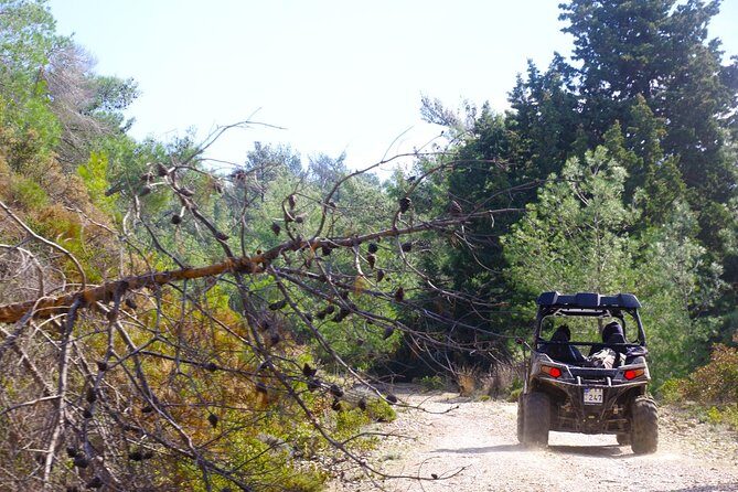 4x4 Buggy Adventures - Off-road Polaris Experience - Who Is This Tour Perfect For?