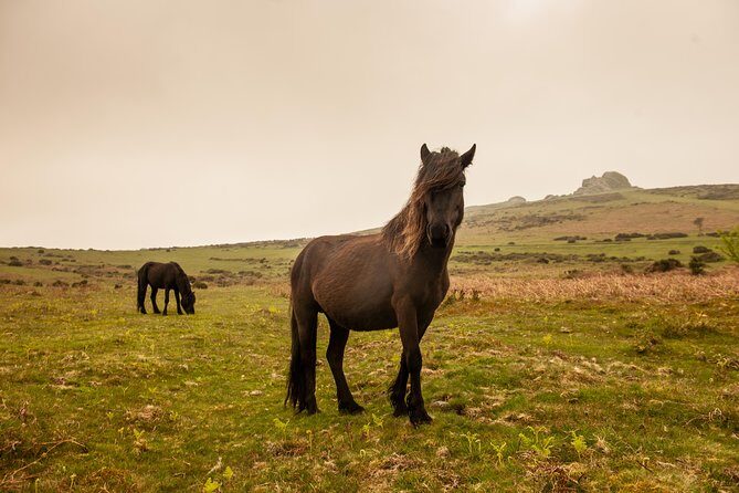 5-Day Devon and Cornwall Small-Group Tour from London - Day 3: Coastal Villages, Tintagel, and Port Isaac
