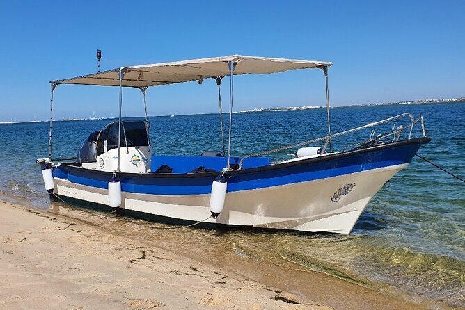 5-hour tour with 3 stops around the islands and beaches of Ria Formosa - Who Should Book This Tour?
