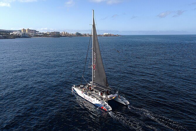 5 hr watching and listening whales and dolps. Visit Los Gigantes - What to Expect from the Experience