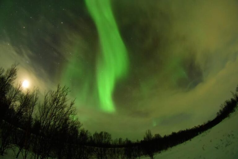 Abisko: Aurora Chasing with Snowmobiles - The Real Deal — What Reviewers Say