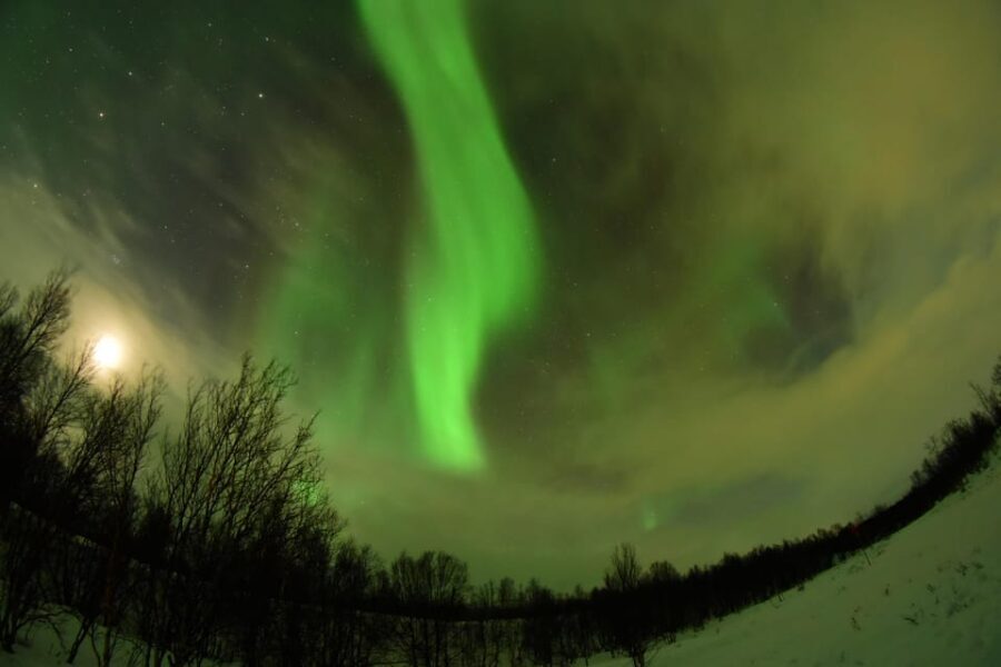 Abisko: Aurora Chasing with Snowmobiles - The Real Deal — What Reviewers Say