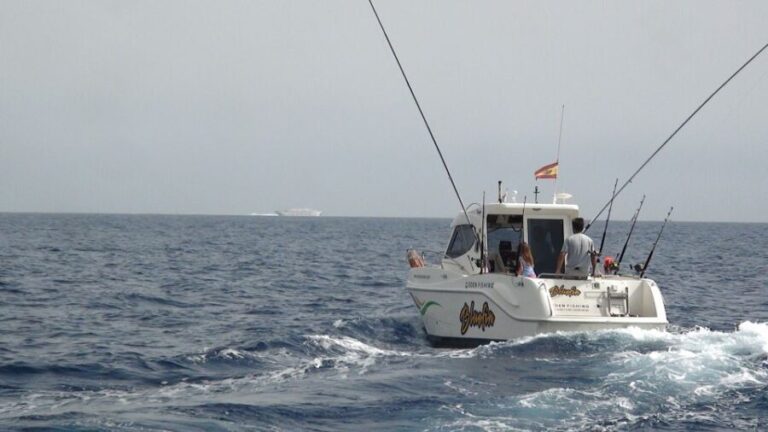 Adeje: 3.5Hour Professional Fishing Experience - The Price & Value: What Are You Really Paying For?