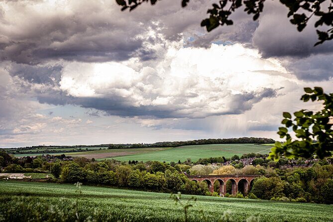 Admission Pass to Eagle Heights in Kent - Supporting Conservation and Community