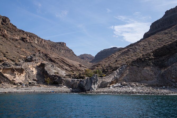 Afrikat Afternoon Cruise - The Sum Up: Who Should Consider This Experience?