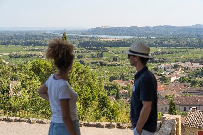 Afternoon Wine Tour to Chateauneuf du Pape from Avignon - Analyzing the Value