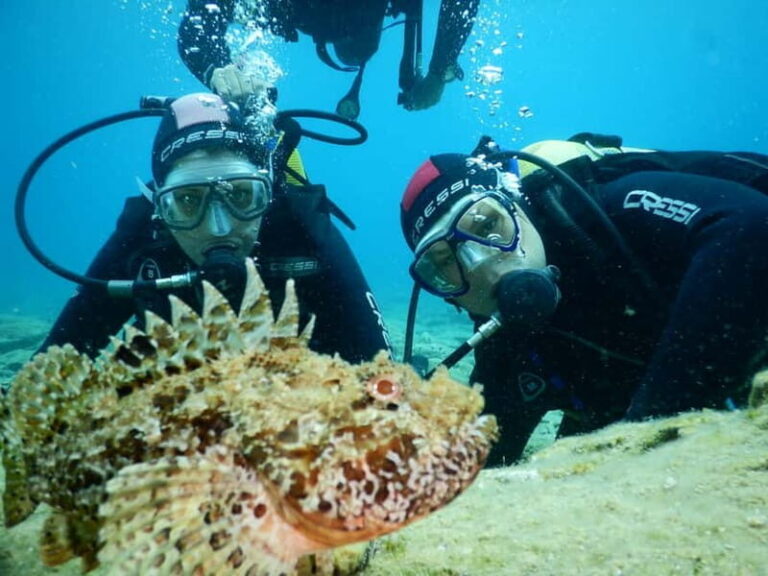 Agia Pelagia: Introduction to Scuba Diving Experience - The Itinerary Breakdown