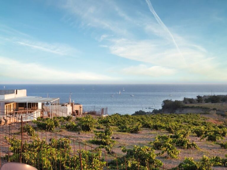 Akrotiri: Guided Horseback Riding Day Trip to a Beach - Who Is This Tour Best For?