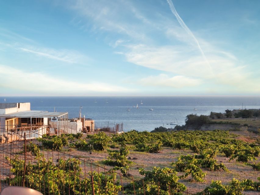 Akrotiri: Guided Horseback Riding Day Trip to a Beach - Who Is This Tour Best For?