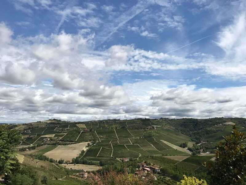 Alba: Wine Tasting and Tour with a Local Producer - The Value of This Tour