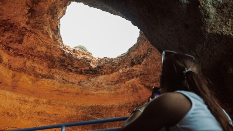 Albufeira: 2.5-Hour Dolphin Watching and Caves Trip - Why It Works — The Value of This Tour