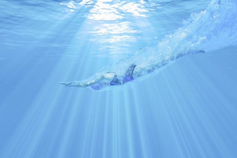 Albufeira: Benagil Caves & Dolphin Watching Speed Boat Tour - Authentic Insights from Reviewers