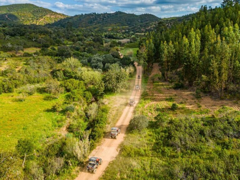 Albufeira: Off-Road Buggy Adventure - Why This Tour Stands Out