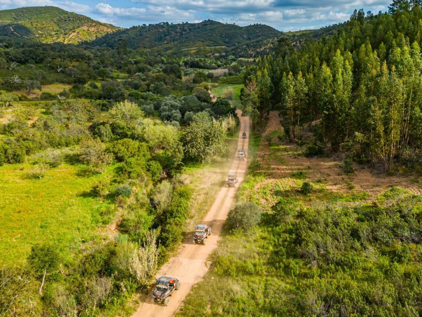 Albufeira: Off-Road Buggy Adventure - Why This Tour Stands Out