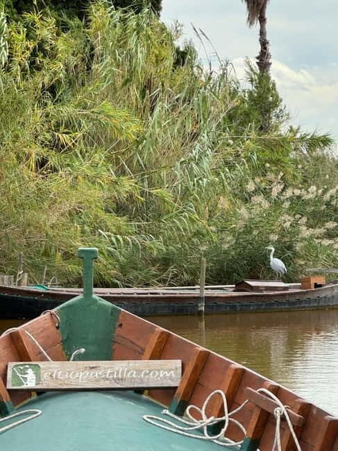 Albufera Valencia: Guided electric boat ride, also at sunset - Why This Tour Is Perfect for Certain Travelers