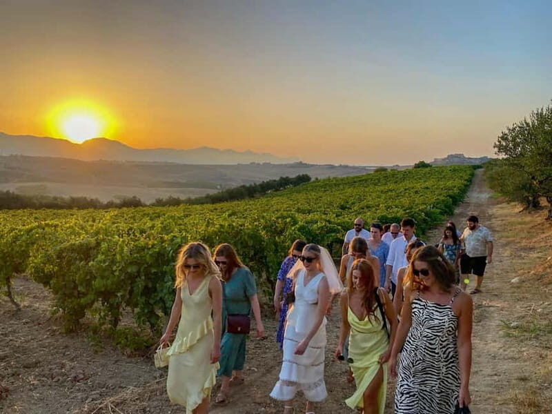 Alcamo: Natural Wine & Olive Oil Tasting - Sicily - The Value of the Experience