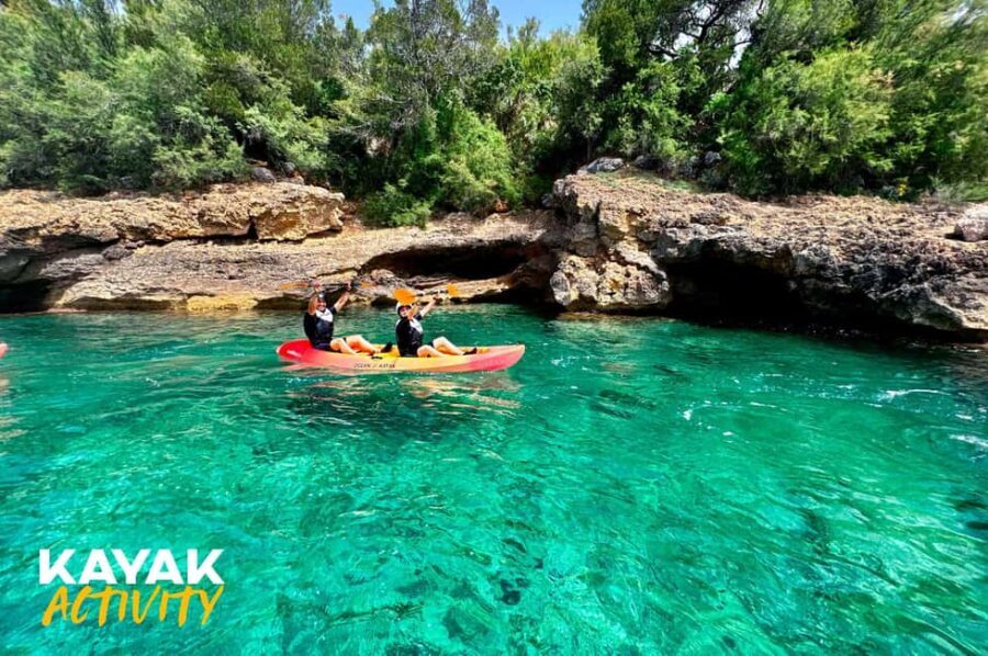 Alcudia: Kayak Tour with Snorkel & Sea Cave Swim - What to Expect from the Alcudia Kayak Tour