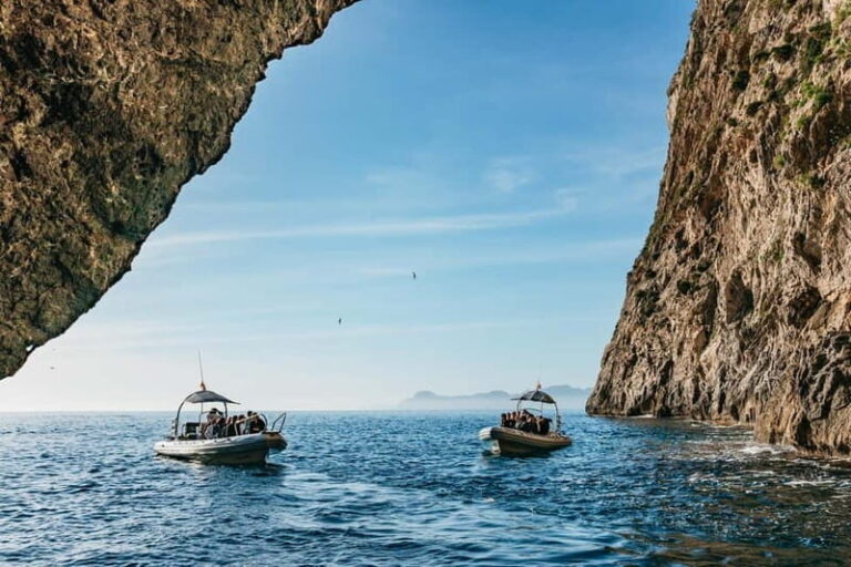 Alcudia or Can Picafort: Dolphin-Watching Cruise - Who Will Love This Tour?