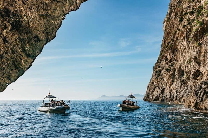 Alcudia or Can Picafort: Dolphin-Watching Cruise - Who Will Love This Tour?