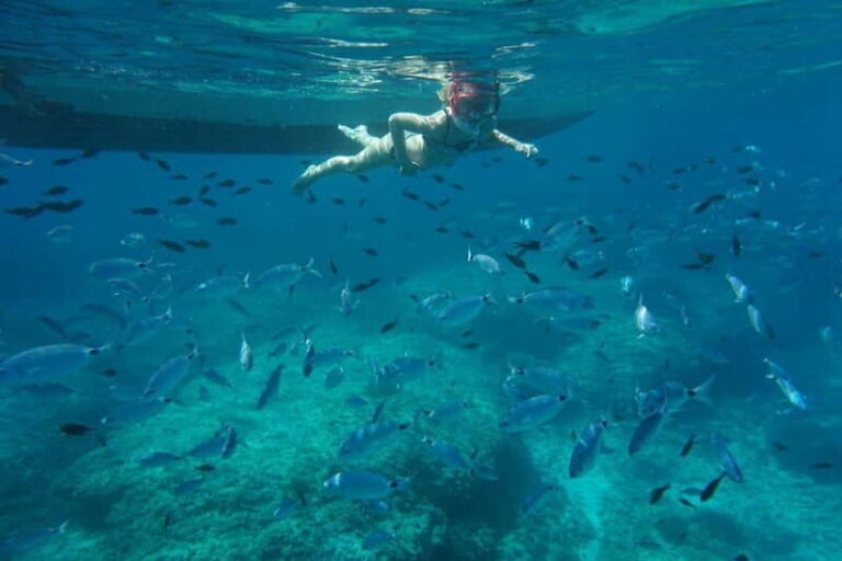 Alcudia: Sea Caves Coves and Snorkeling in small groups - The Equipment, Guides, and Group Size