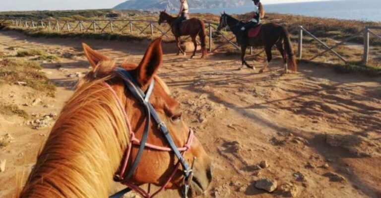 Alghero: Guided Horseback Ride at Lake Baratz & Porto Ferro - A Detailed Look at the Horseback Ride Experience