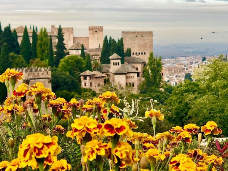 Alhambra: Guided Private Tour with Fast-Track Entry - The Value of a Private Guided Tour