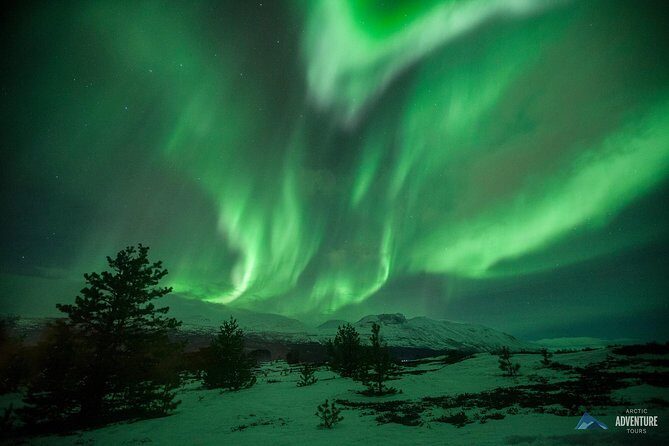 All inclusive - Northern Lights Hunt - The Value of the Experience