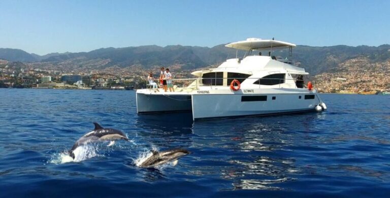 All Inclusive Whale and Dolphin Watching Luxury Tour - The Value for Money