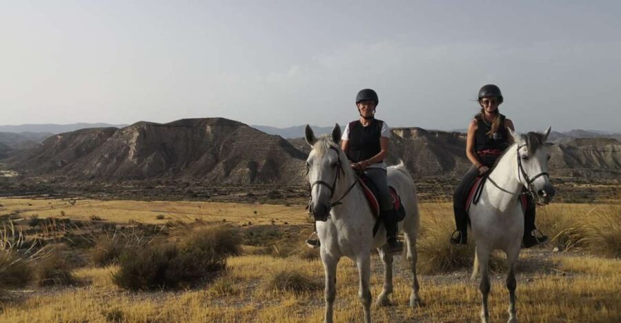 Almeria: Horse Riding Tour Through the Tabernas Desert - The Horses and Guides: What Youll Love