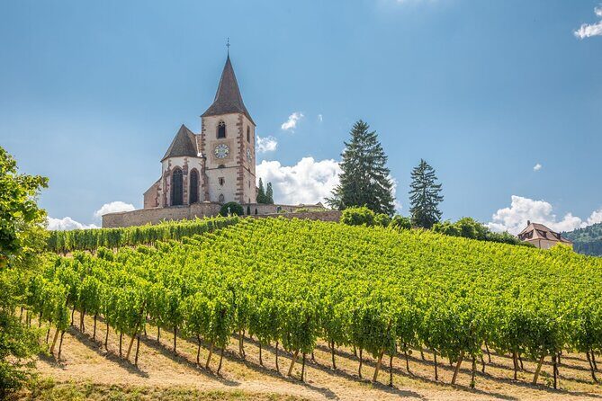 Alsace Full Day Wine Tour from Colmar - Authenticity & Guide Expertise