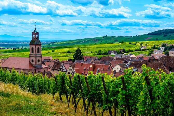 Alsace Half Day Wine Tour from Colmar - What the Tour Means for You
