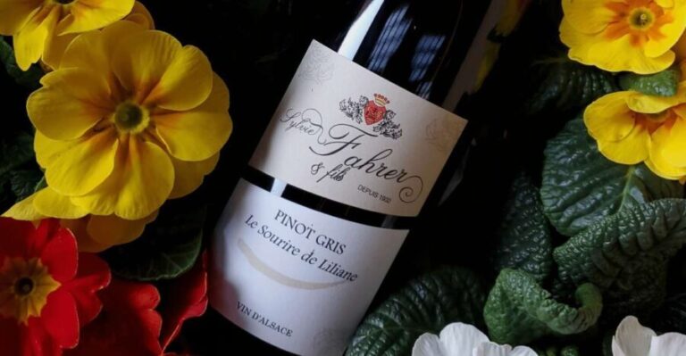 Alsace: Winery Tour and Alsatian Wine Tasting ENGLISH - The Practicalities: What to Expect