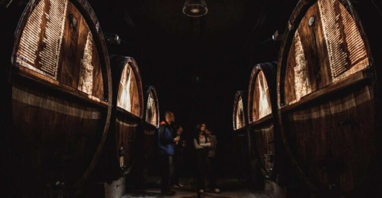 Alsatian Guided Wine Tasting and Immersive wine cellar tour - The Location and Setting