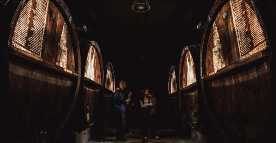 Alsatian Guided Wine Tasting and Immersive wine cellar tour - The Location and Setting