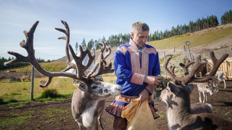 Alta: Reindeer - A carrier of Sámi Culture - Key Points