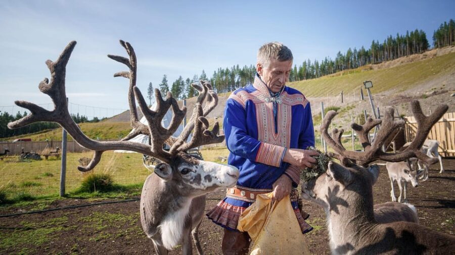 Alta: Reindeer - A carrier of Sámi Culture - Key Points