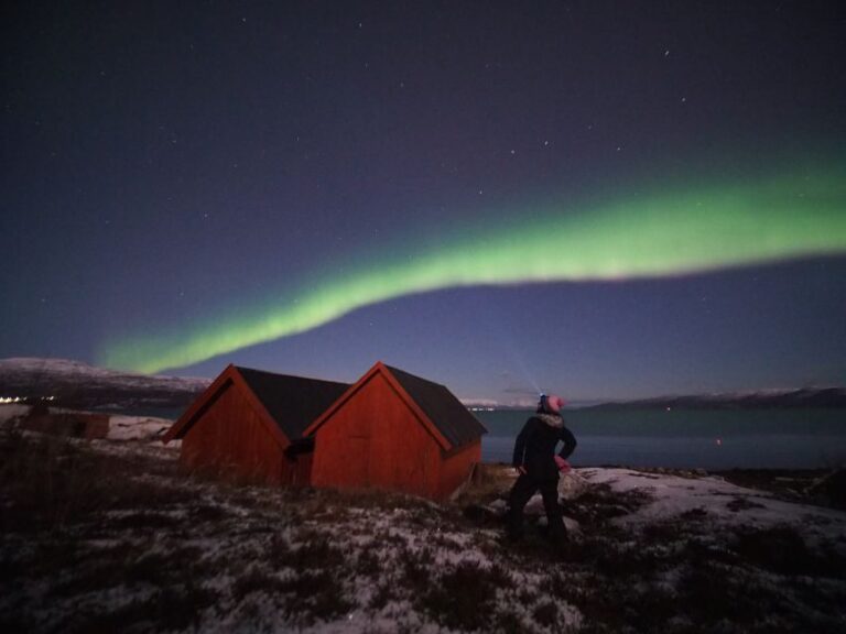 Alta: Small-Group Guided Northern Lights Tour - What Makes the Northern Lights Viewing Special?