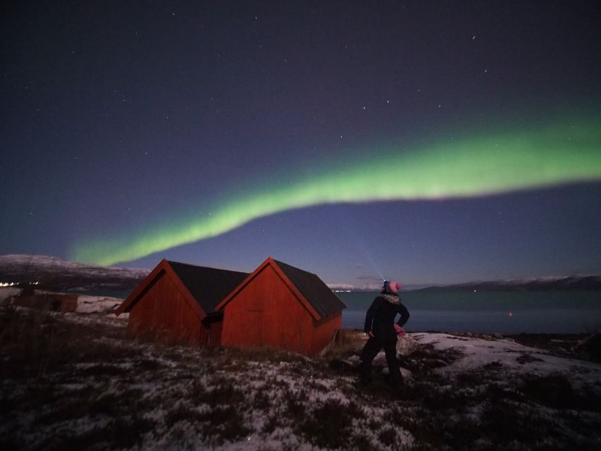 Alta: Small-Group Guided Northern Lights Tour - What Makes the Northern Lights Viewing Special?